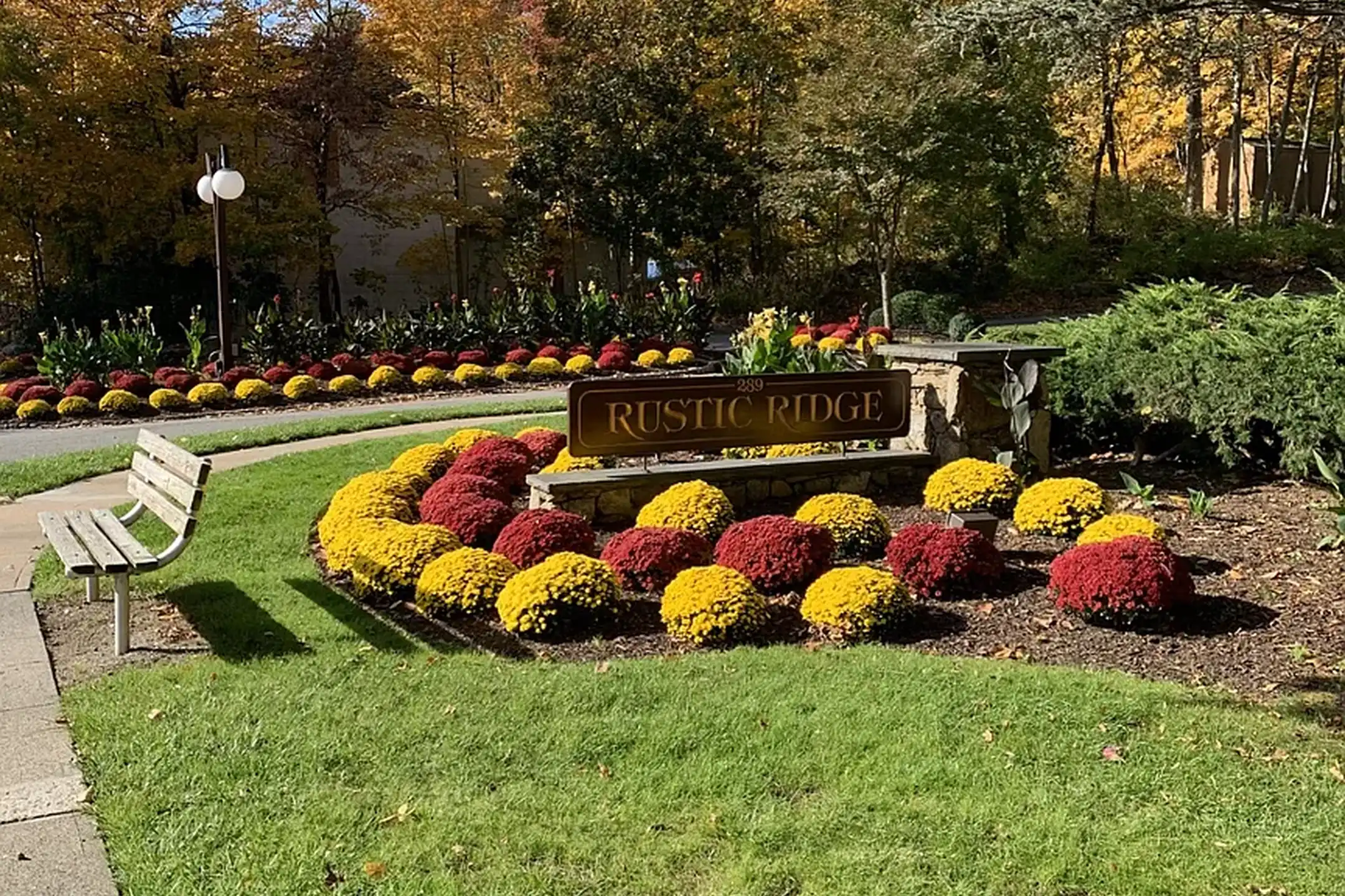 Rustic Ridge Apartments - 289 Mount Hope Ave - Dover, NJ | Rent.