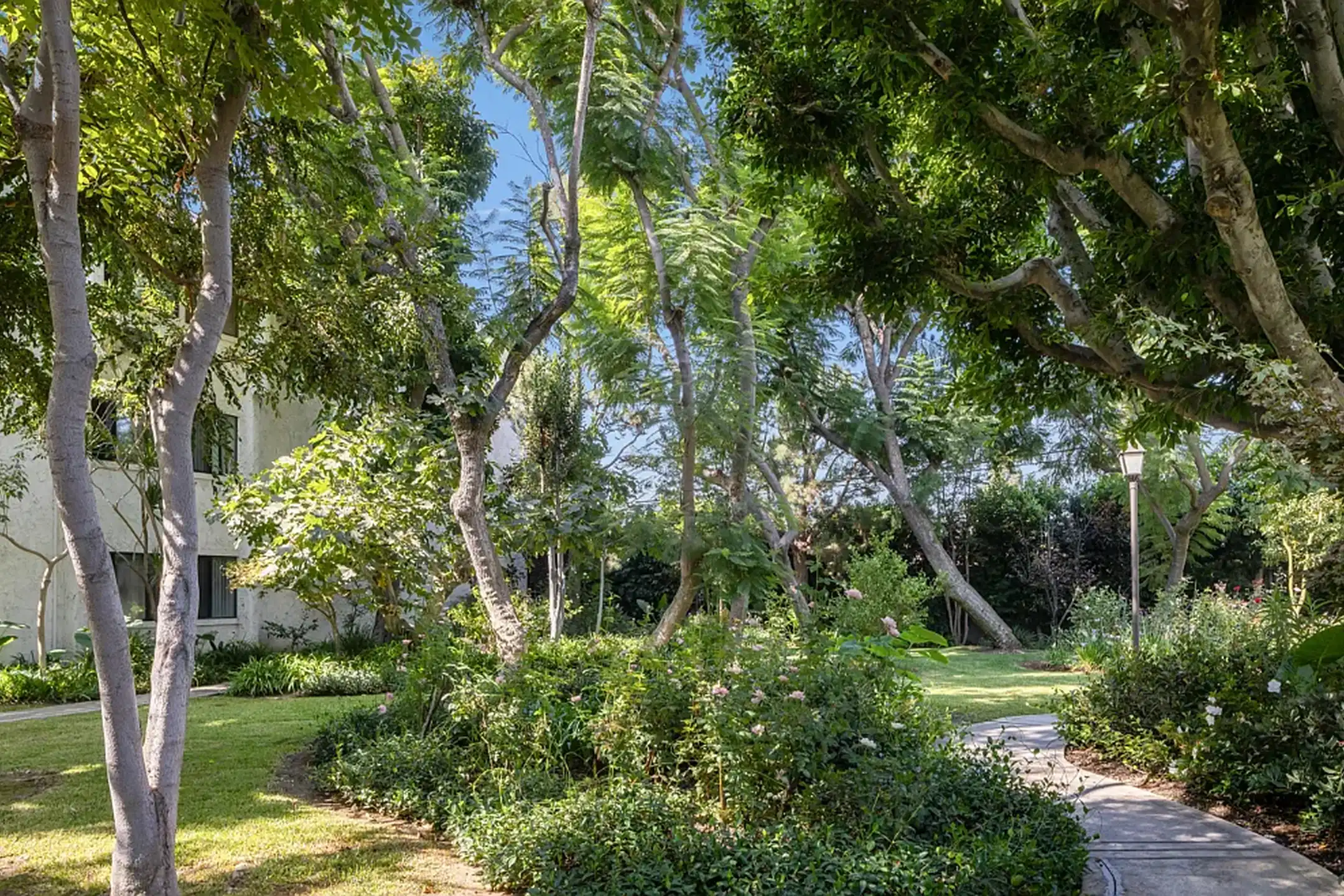 Casa Lucerna - 1025 S Kern Ave - Los Angeles, CA | Rent.