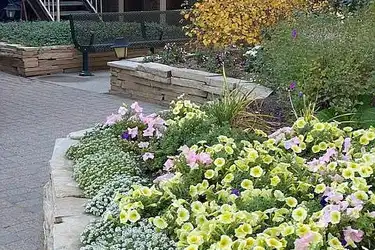 Rustic Arms - 3445 S Downing St - Englewood, CO | Rent.