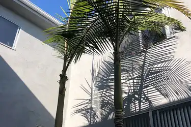 LUXURY LIVING AT AN AFFORDABLE PRICE - 11007-11011 Palms Blvd - Los ...