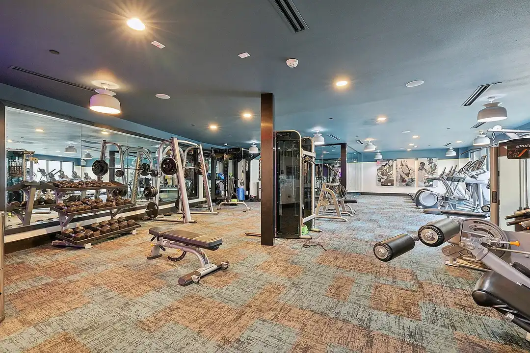 Atlas North Lamar - 5629 N Lamar Blvd - Austin, TX | Rent.