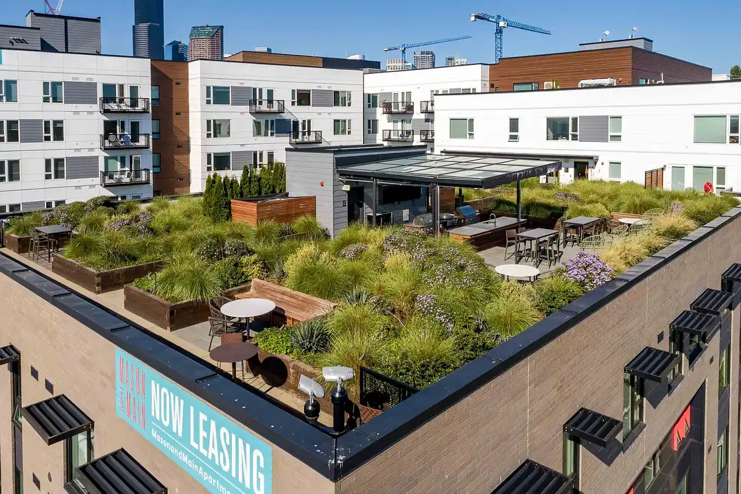 Mason & Main - 209 12th Ave S - Seattle, WA | Rent.