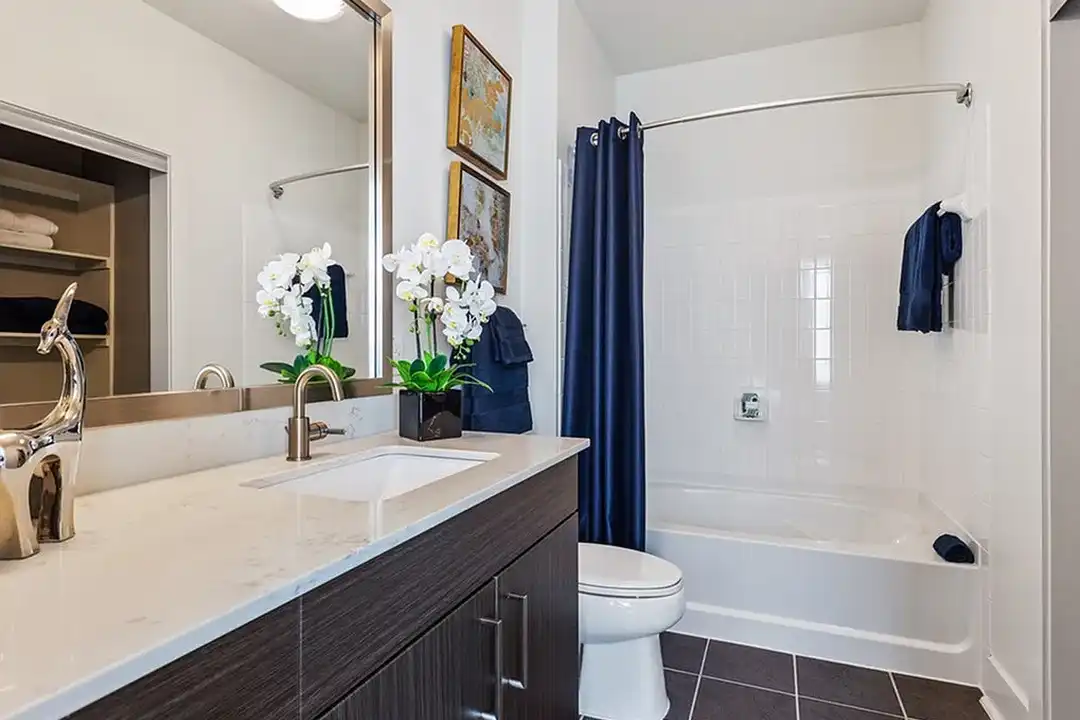 AMLI South Shore - 1620 E Riverside Dr - Austin, TX | Rent.