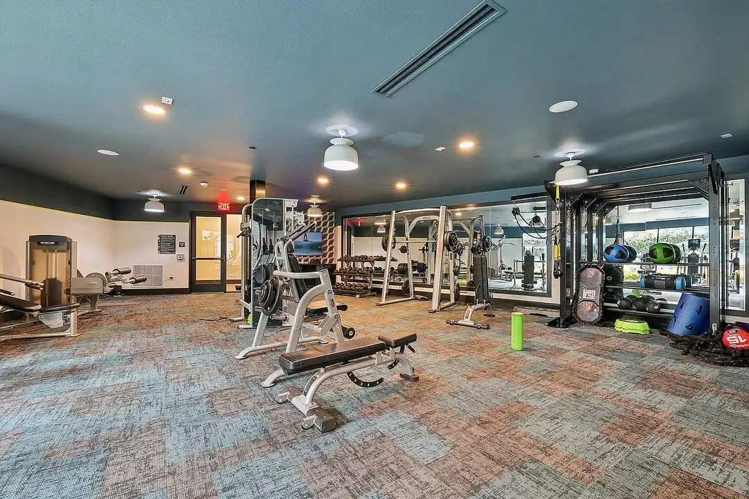 Atlas North Lamar - 5629 N Lamar Blvd - Austin, TX | Rent.