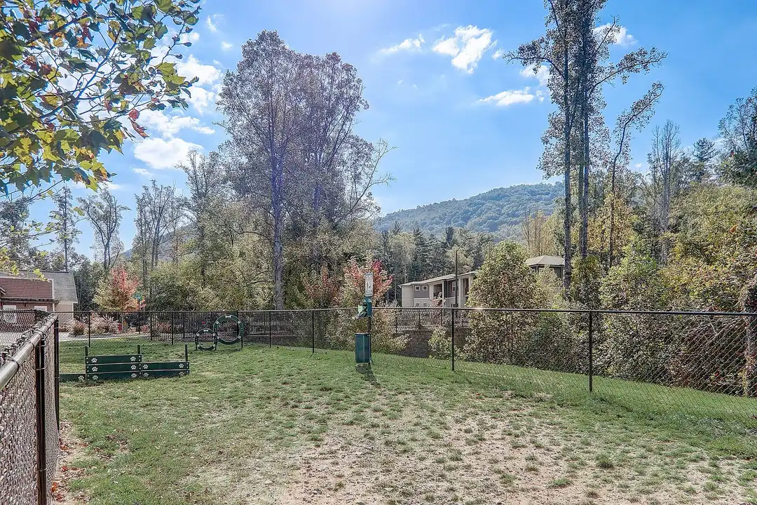 The Reserves at Gashes Creek - 1120 Gashes Ridge Ln - Asheville, NC | Rent.