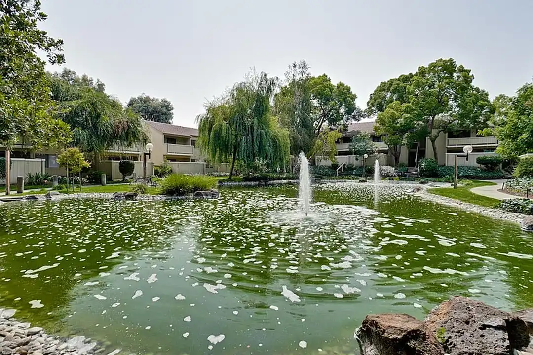 988 Kiely Blvd - Santa Clara, CA | Rent.