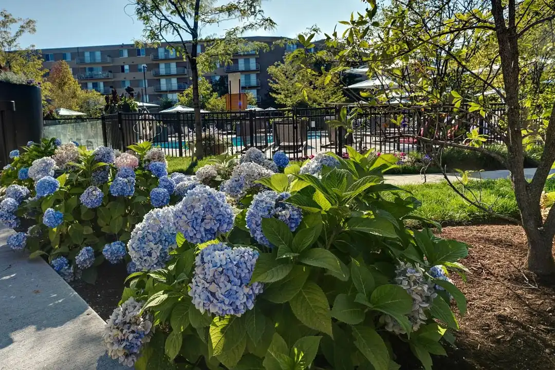 Sherri Park Apartments - 2111 Acacia Park Dr - Cleveland, OH | Rent.