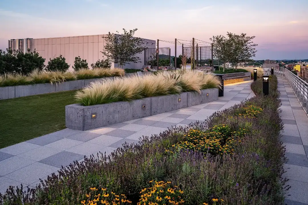 The Apollo - 600 H St NE - Washington, DC | Rent.