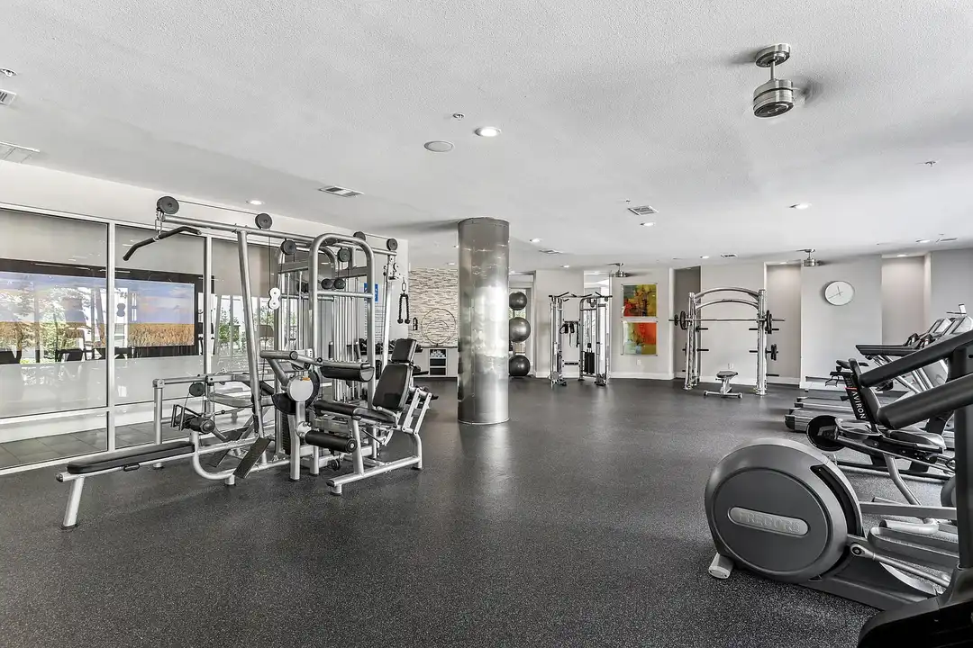 Maple District Lofts - 5415 Maple Ave - Dallas, TX | Rent.