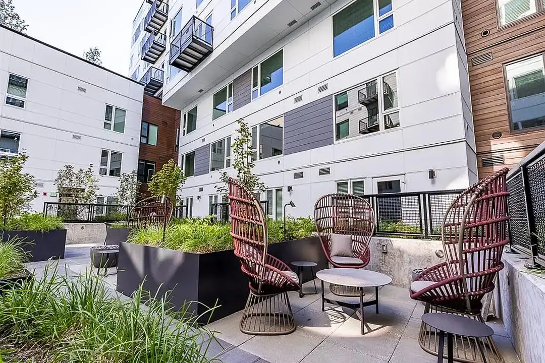 Mason & Main - 209 12th Ave S - Seattle, WA | Rent.