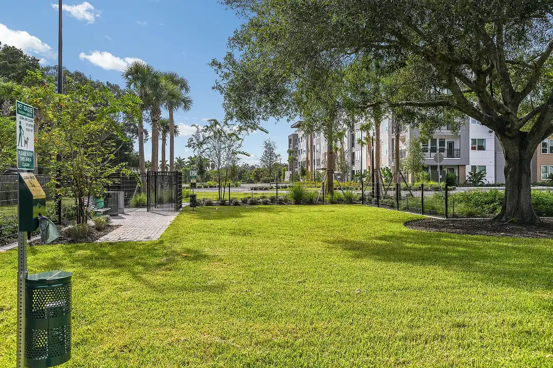 Lyra - 2260 Ringling Blvd - Sarasota, FL | Rent.