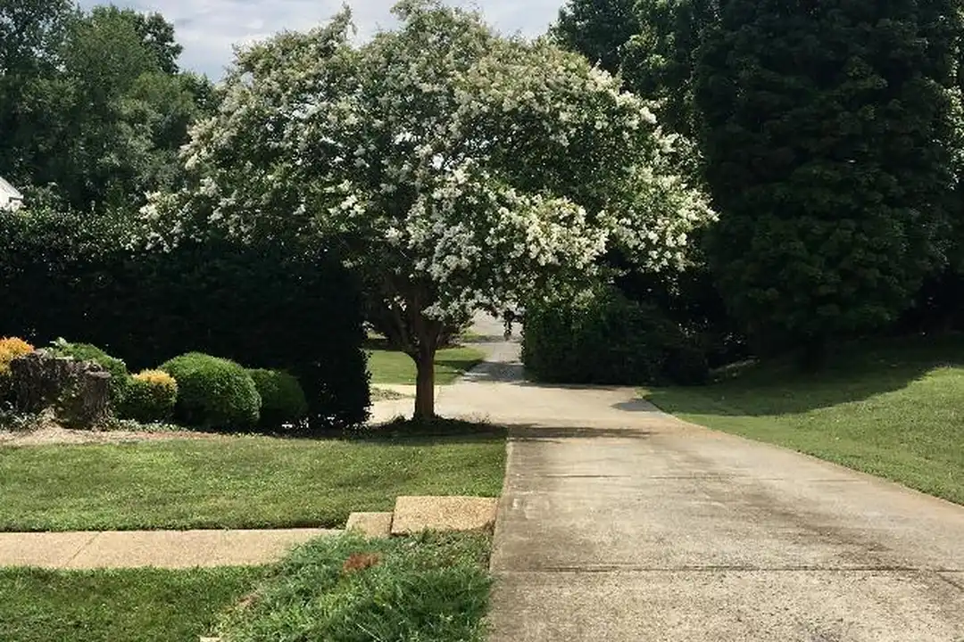 2421 Old Forest Rd - Lynchburg, VA | Rent.