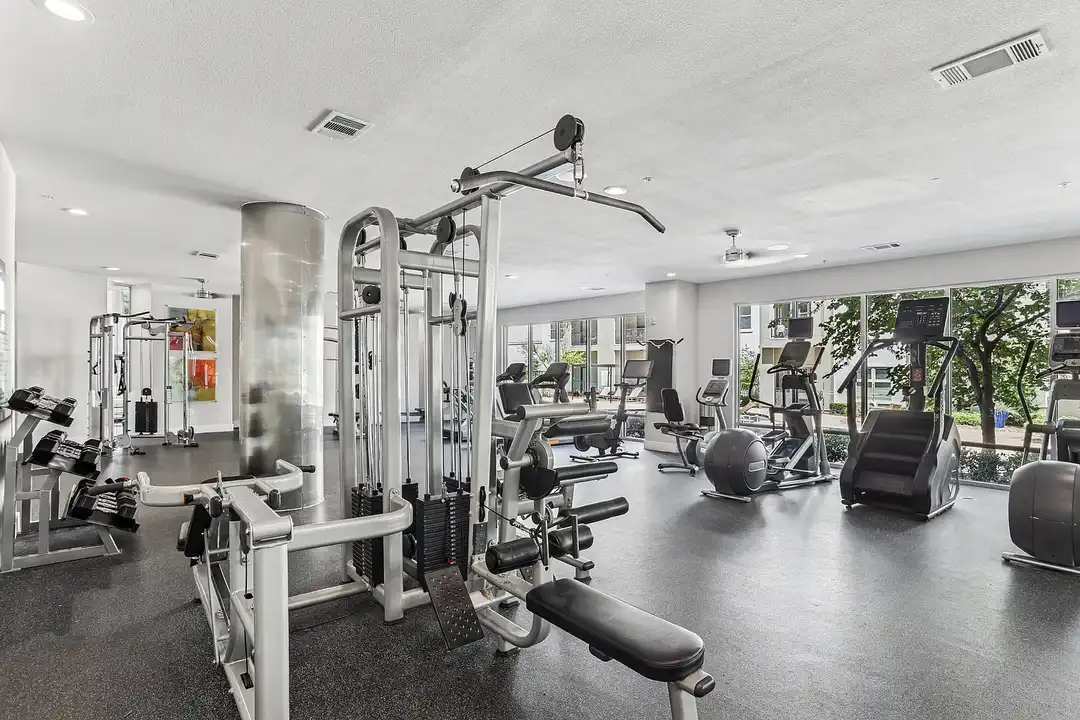 Maple District Lofts - 5415 Maple Ave - Dallas, TX | Rent.