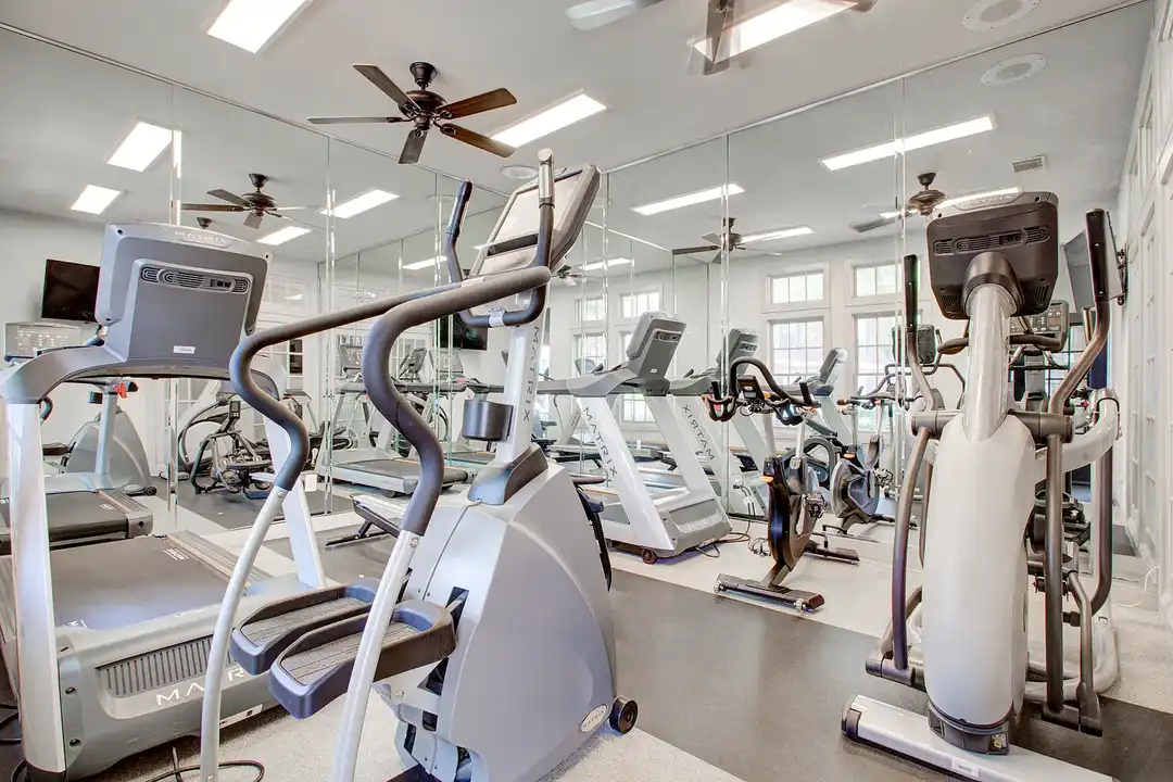 Gables Cityscape - 3720 W Alabama St - Houston, TX | Rent.