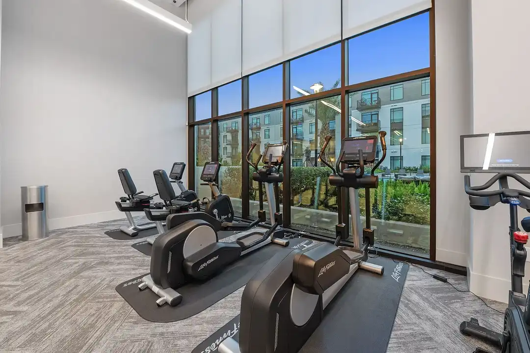 The Sterling at Regent Square - 3515 W Dallas St - Houston, TX | Rent.