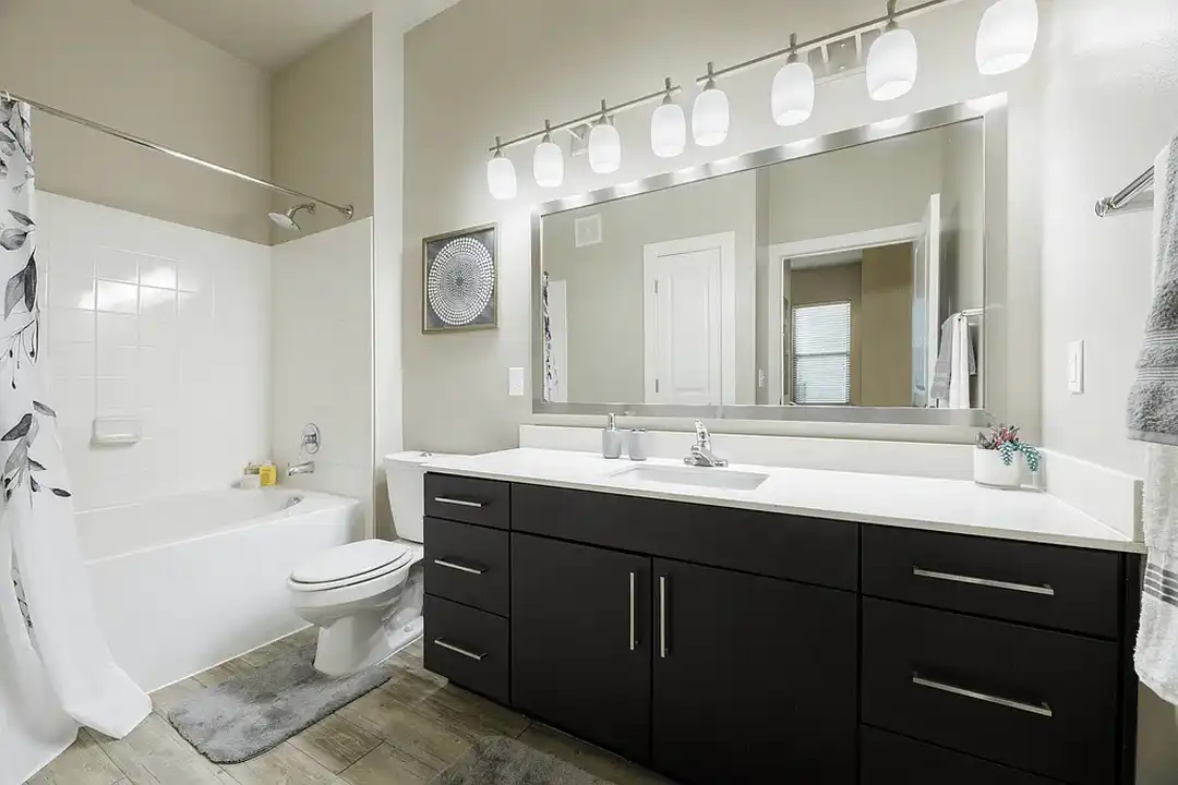 Maple District Lofts - 5415 Maple Ave - Dallas, TX | Rent.