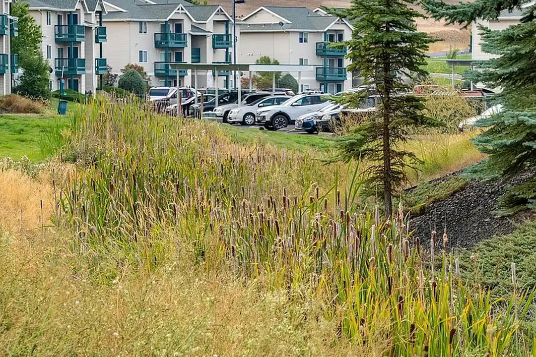 Maple Valley Apartments - 2290 NE Westwood Dr - Pullman, WA | Rent.