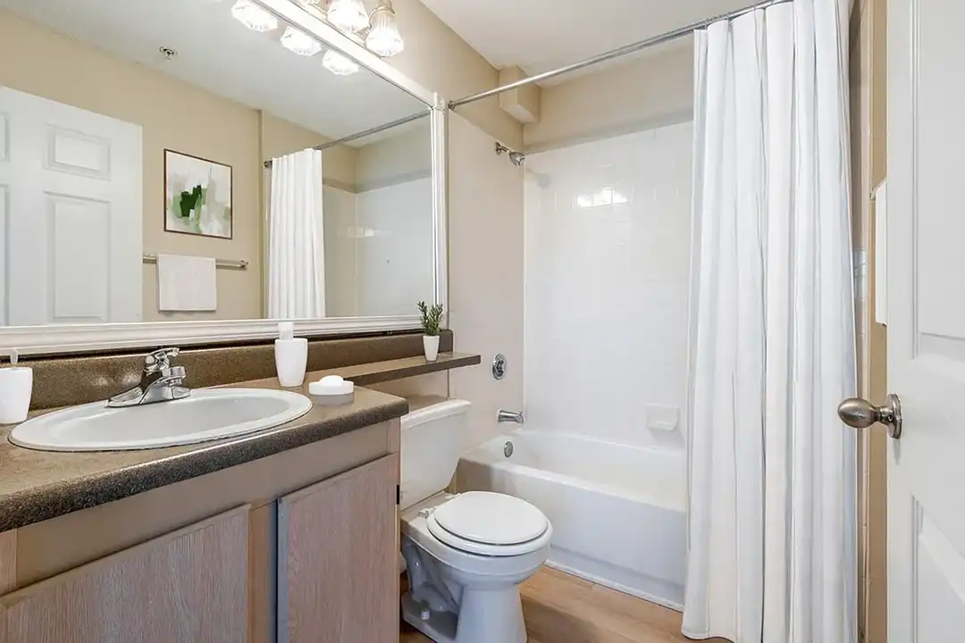 Cherry Grove Commons Apartments - 1100 David St - North Myrtle Beach ...