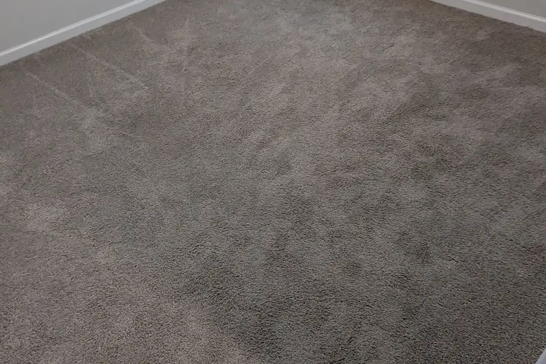 163 Painted Lady Lp - Savannah, GA | Rent.