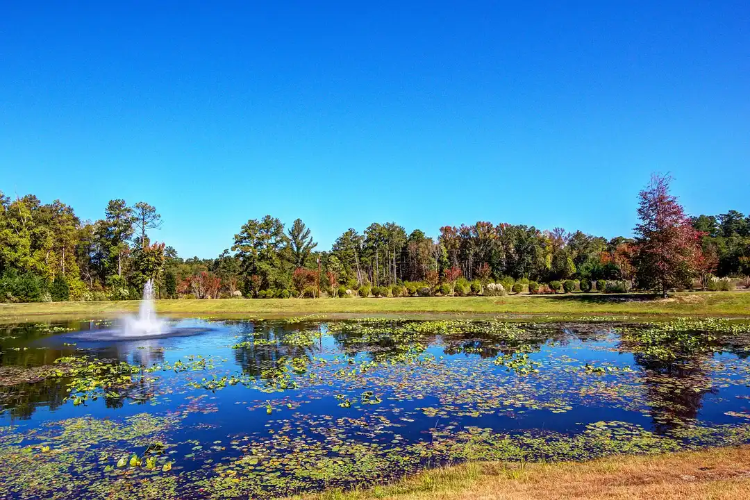 Lauren Ridge Apartment Homes - 500 Carlen Ave - Lexington, SC | Rent.